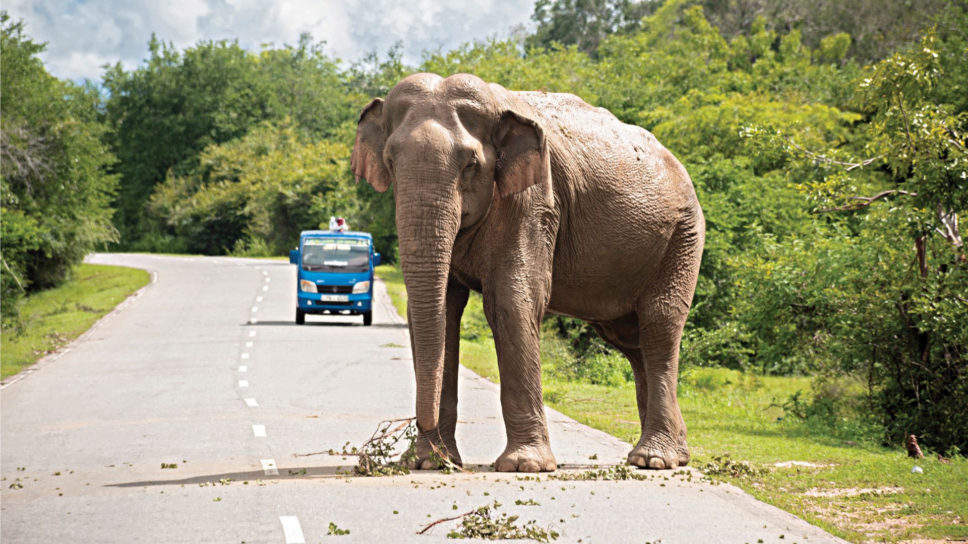 Tuk-Tuks, Tusks & Transformation: Sri Lanka’s Wildest Rally For A Cause