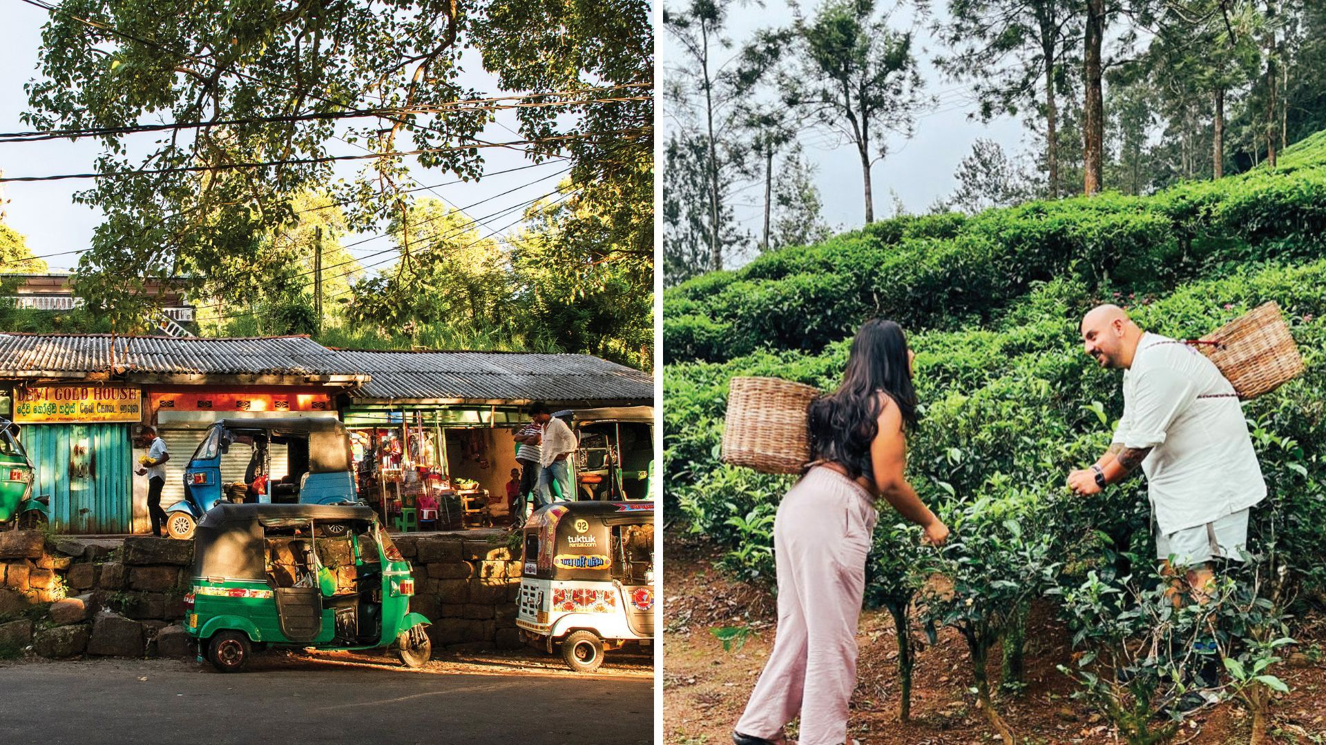 Tuk-Tuks, Tusks & Transformation: Sri Lanka’s Wildest Rally For A Cause