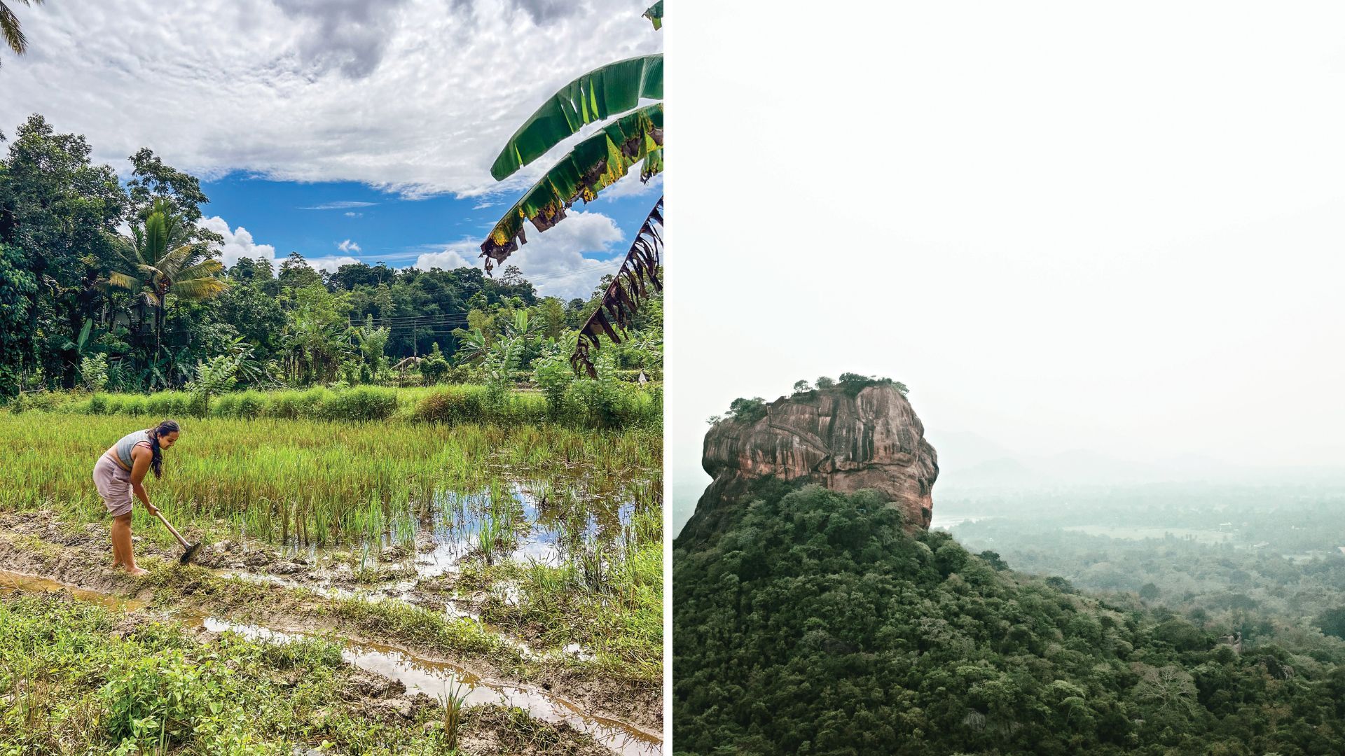 Tuk-Tuks, Tusks & Transformation: Sri Lanka’s Wildest Rally For A Cause