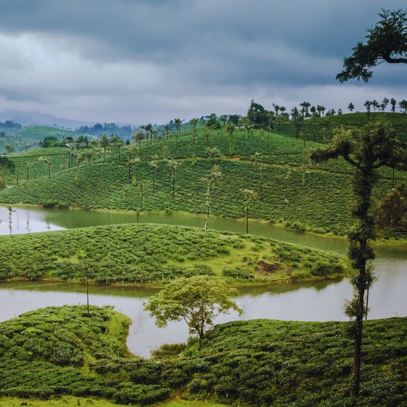 Naggar Beyond Castle: Ultimate Guide To Himachal’s Offbeat Hill Station