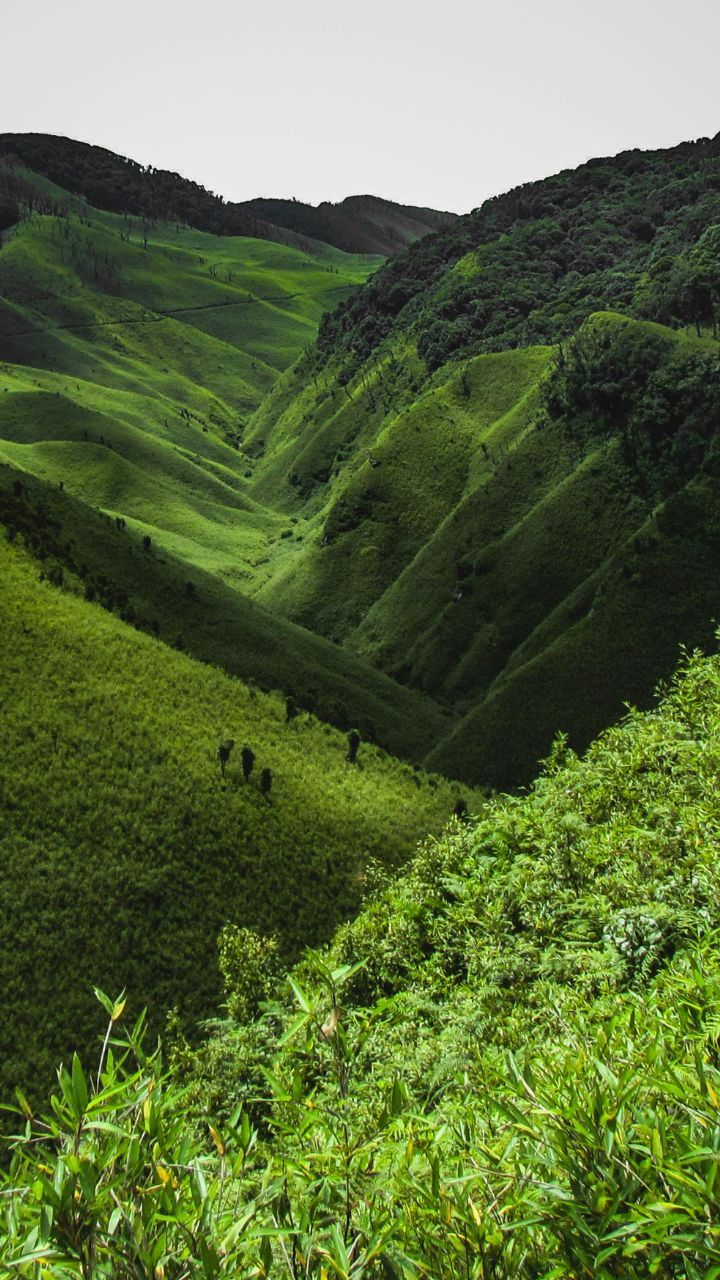 Beautiful Places To Visit In Nagaland