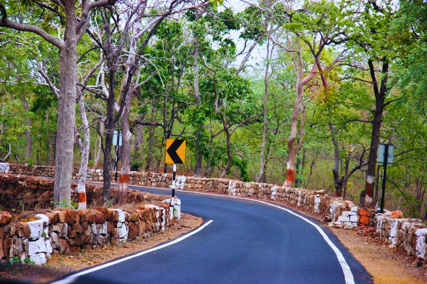 Tourist Places In Pachmarhi: Explore The Mythological Queen Of Satpura