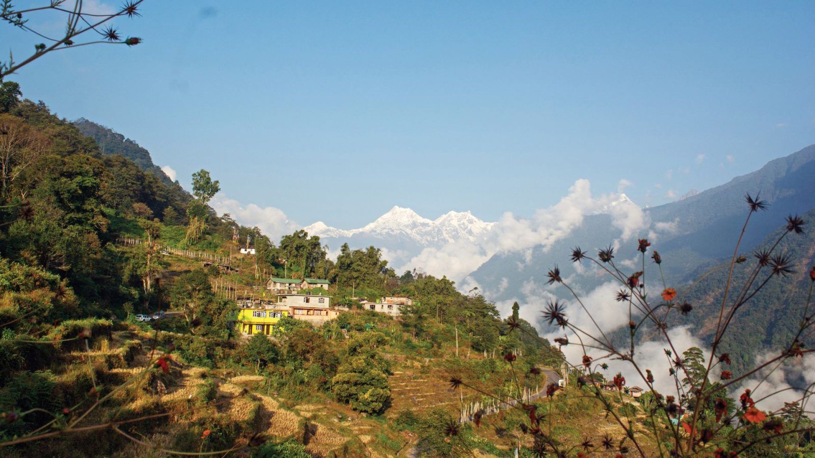 Discovering Dzongu, The Heart Of North Sikkim’s Biodiversity