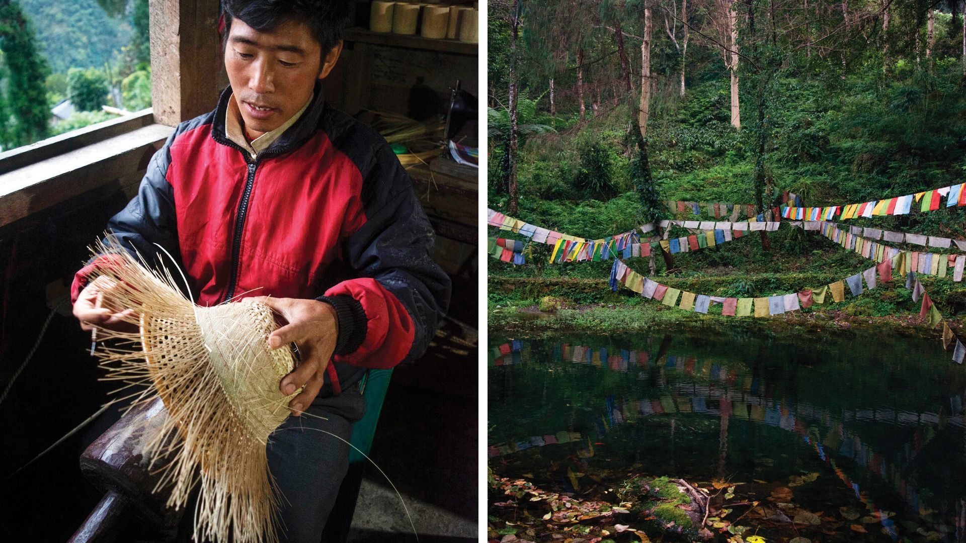 Discovering Dzongu, The Heart Of North Sikkim’s Biodiversity