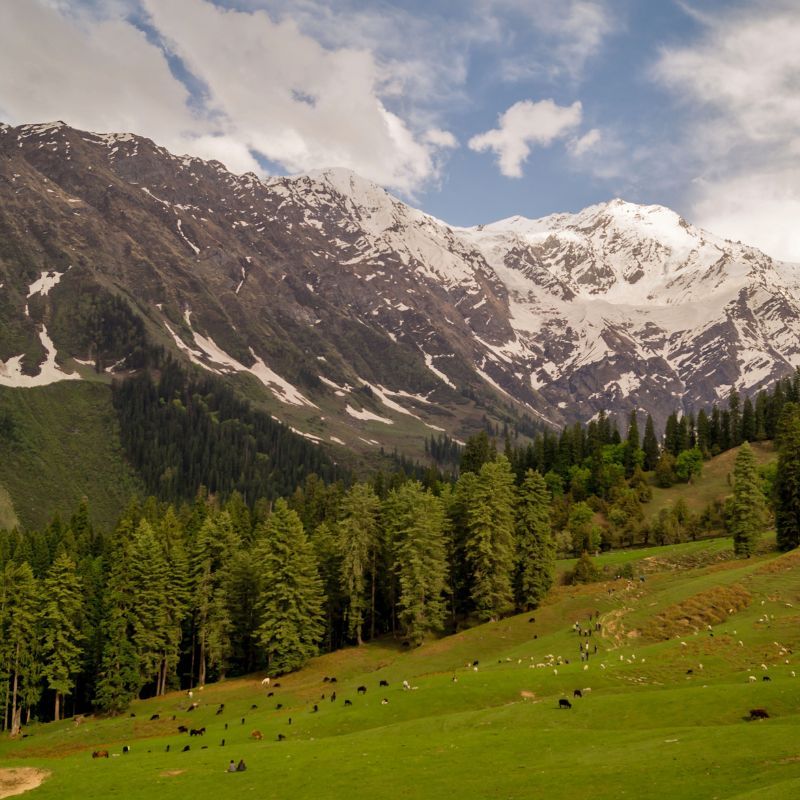 10 Greenest Places On Earth — From Jungle Hikes To Waterfall Dips