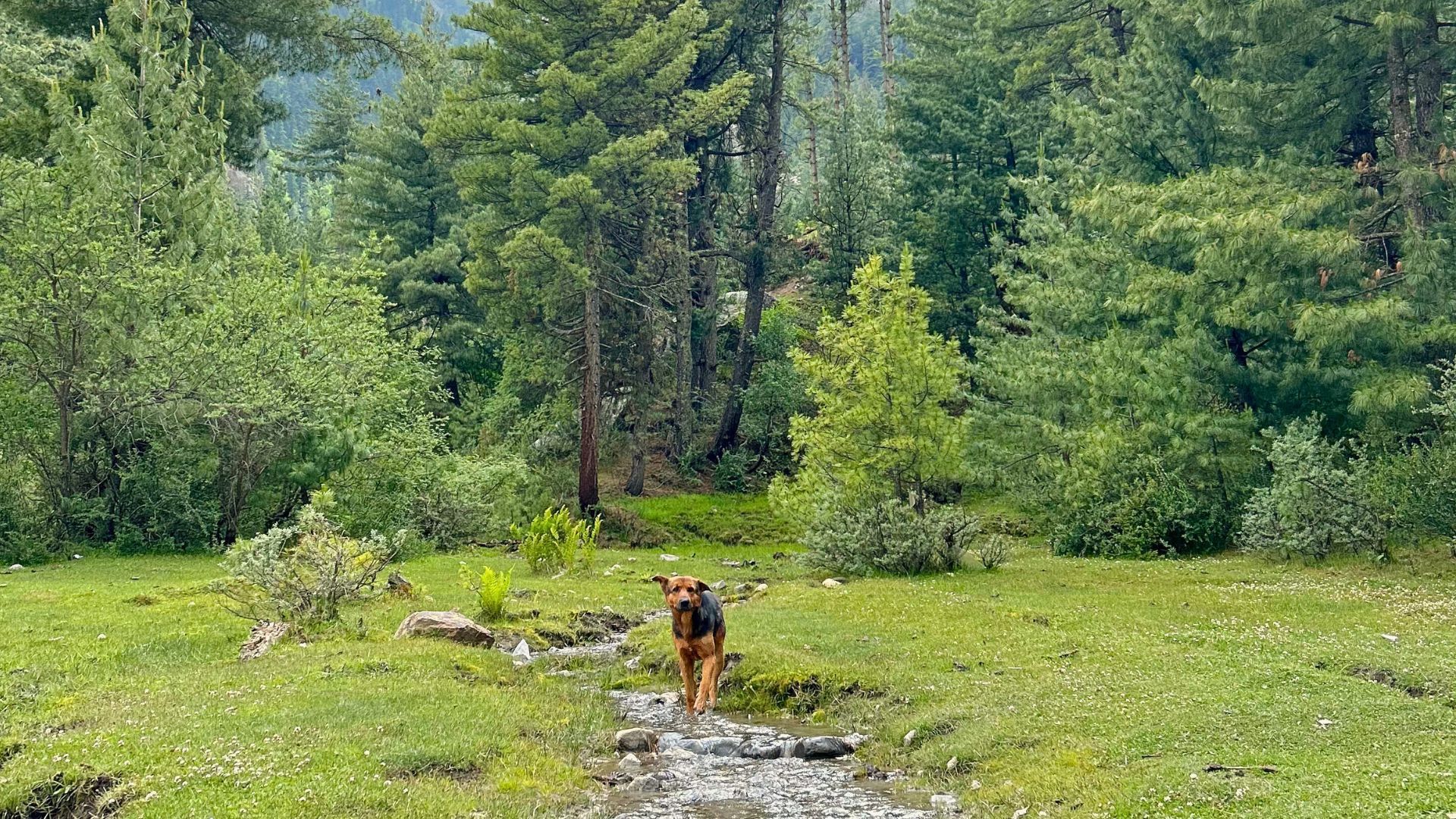 Sangla-Rakcham-Chitkul: Exploring Kinnaur’s Dreamy, Remote Village Trio