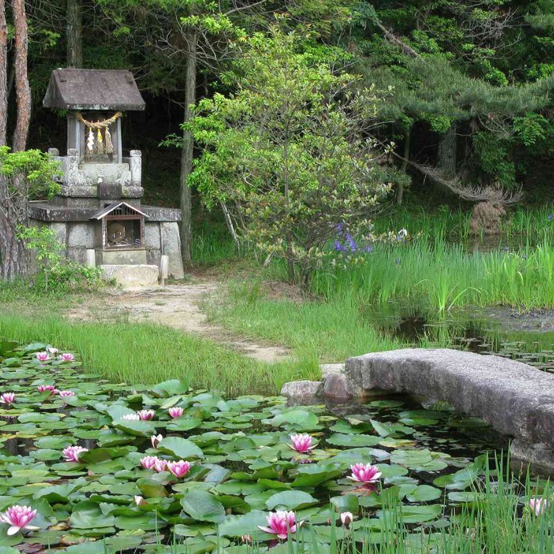 Things To Do In Nagoya: A Compact Travel Guide To Japan's Unique City