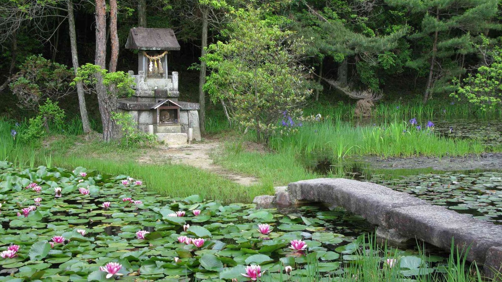 This Walking Route Is A Great Way To Witness Japan's Cherry Blossoms