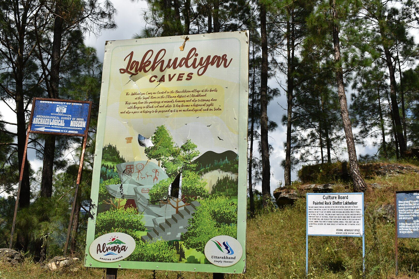 Why Binsar Is Your Perfect Mountain Escape In Uttarakhand