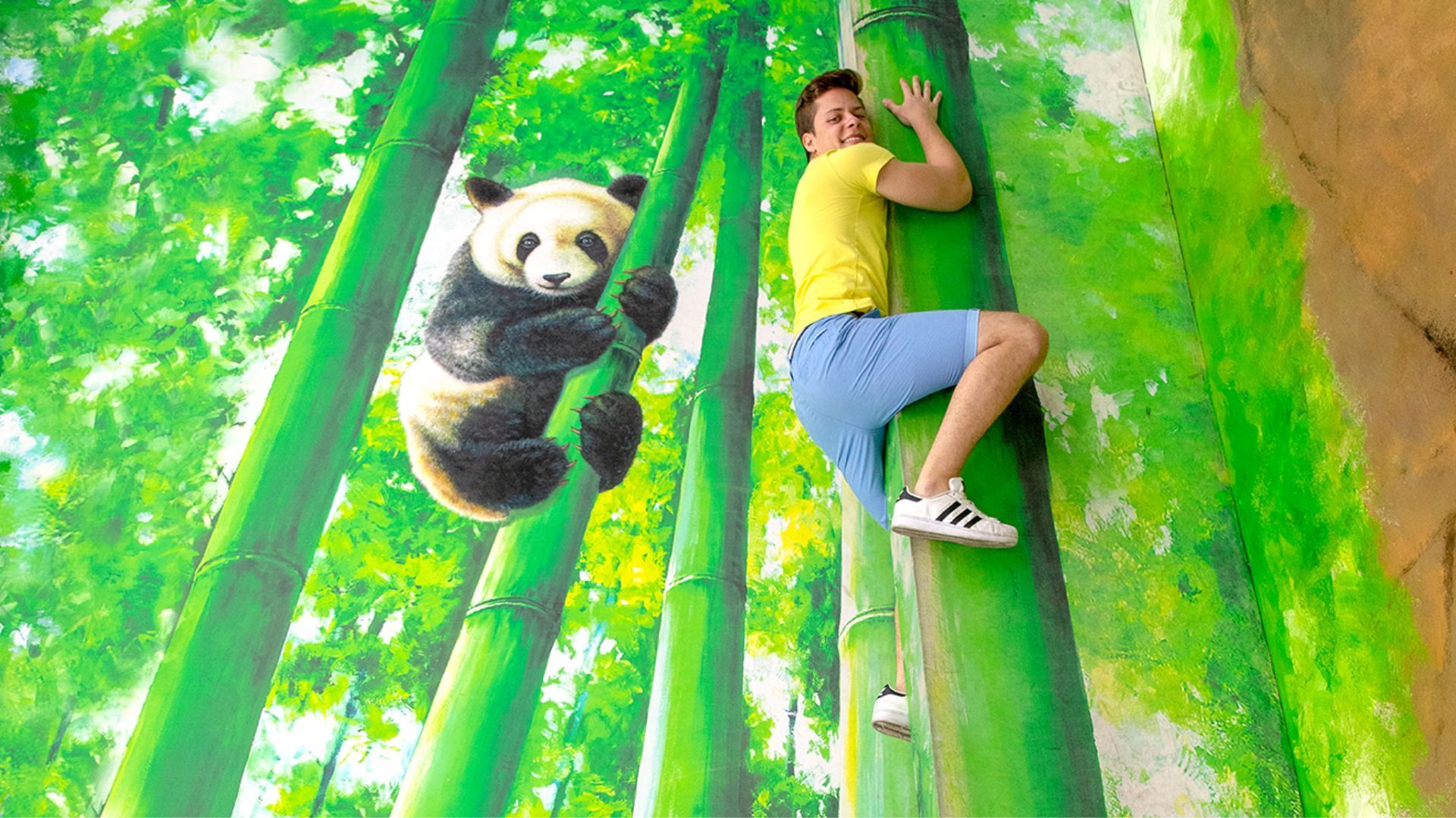 Best Museums In Phuket To Visit Year-Round