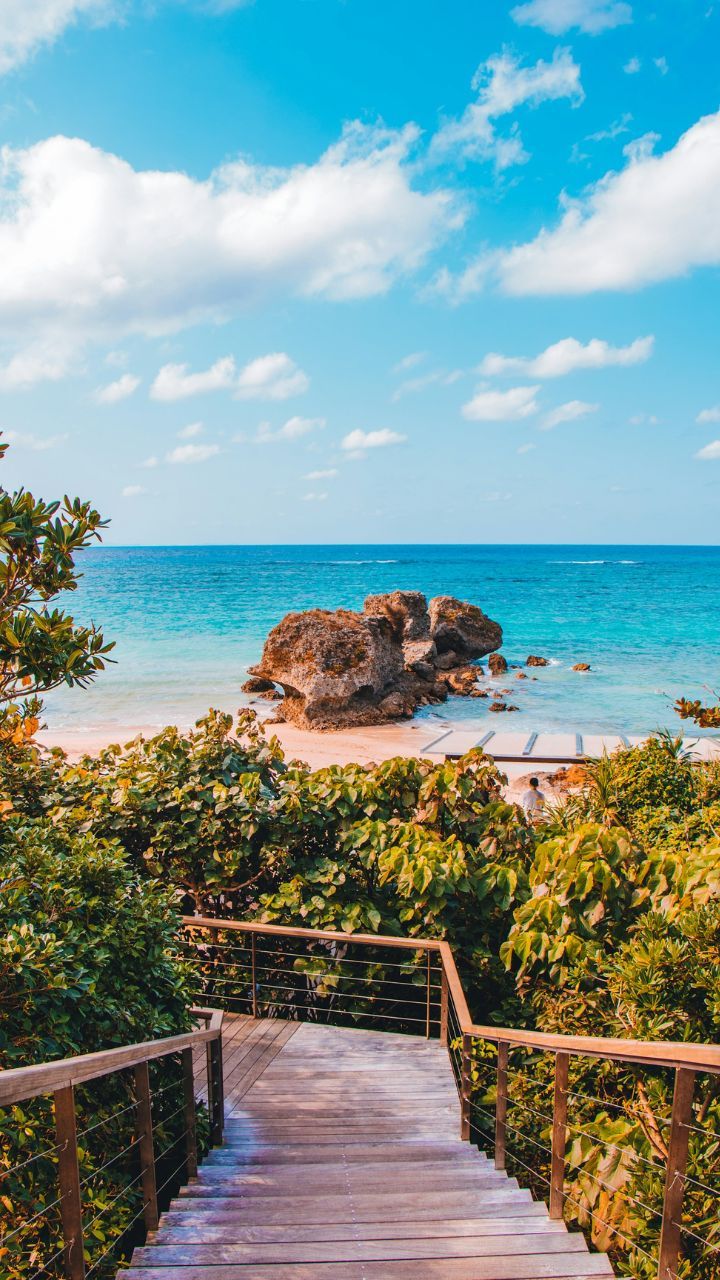 Diving In Japan: Must-Visit Spots You Should Know