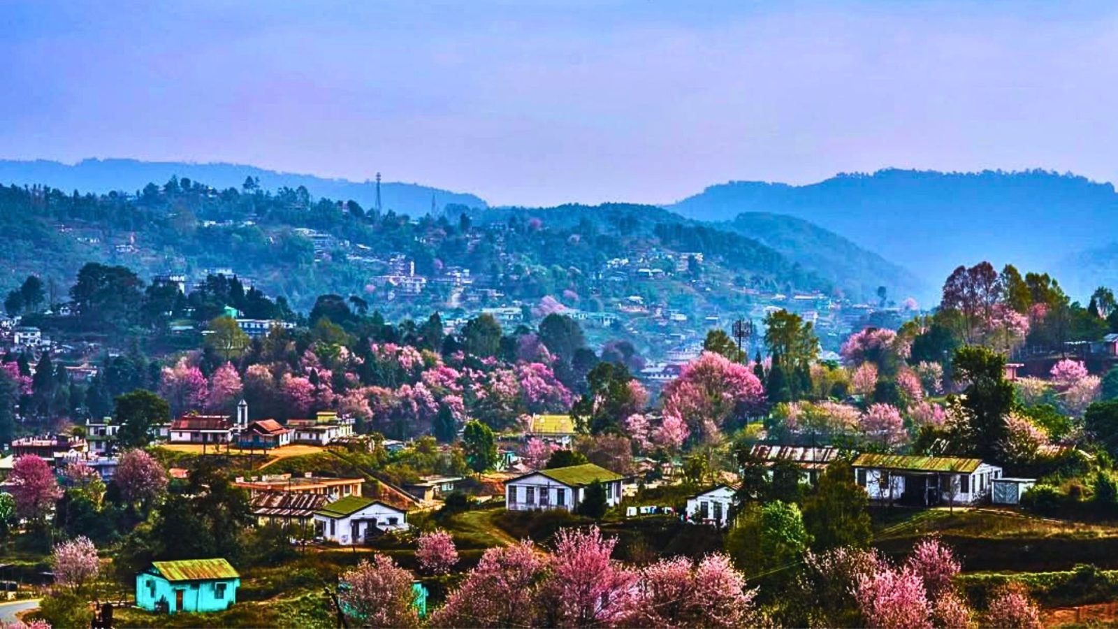 Places To Visit In Shillong: Misty Hills, Music, And Monoliths