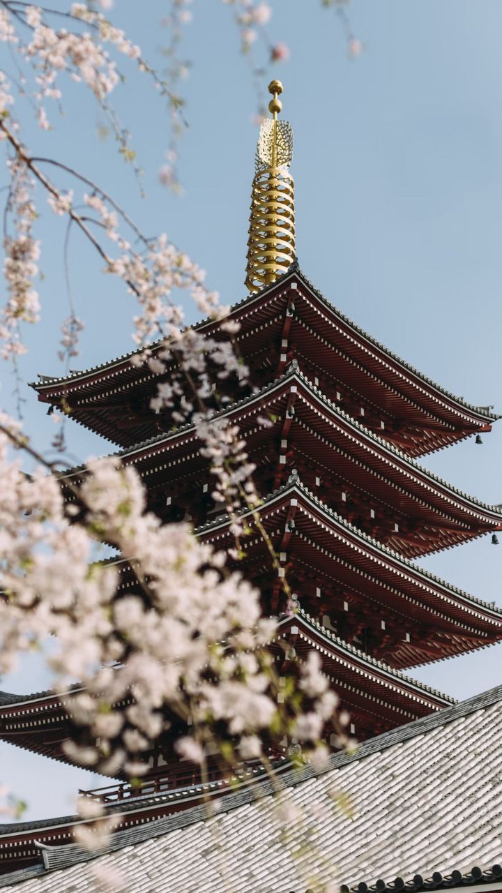 How Many Countries With The Letter ‘J’ Can You Name?