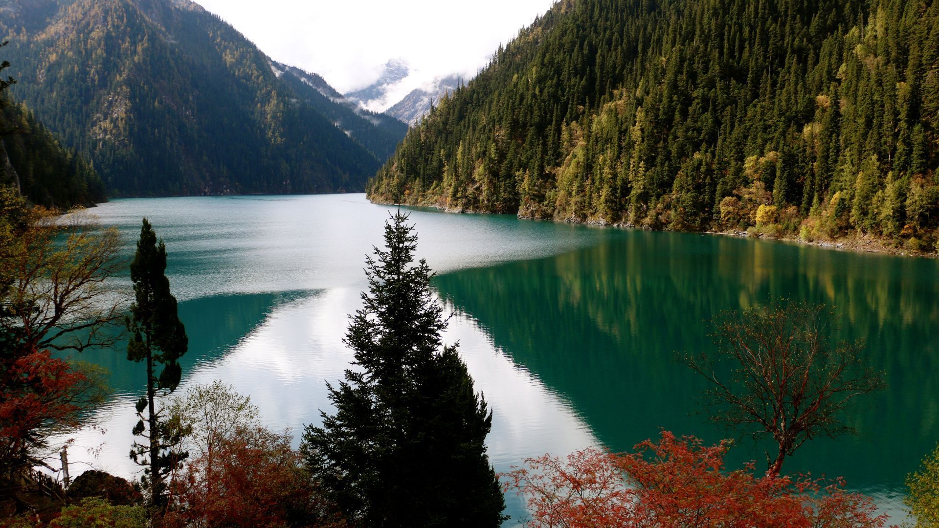 Jiuzhaigou National Park: Uncover China’s Dreamiest Nature Destination