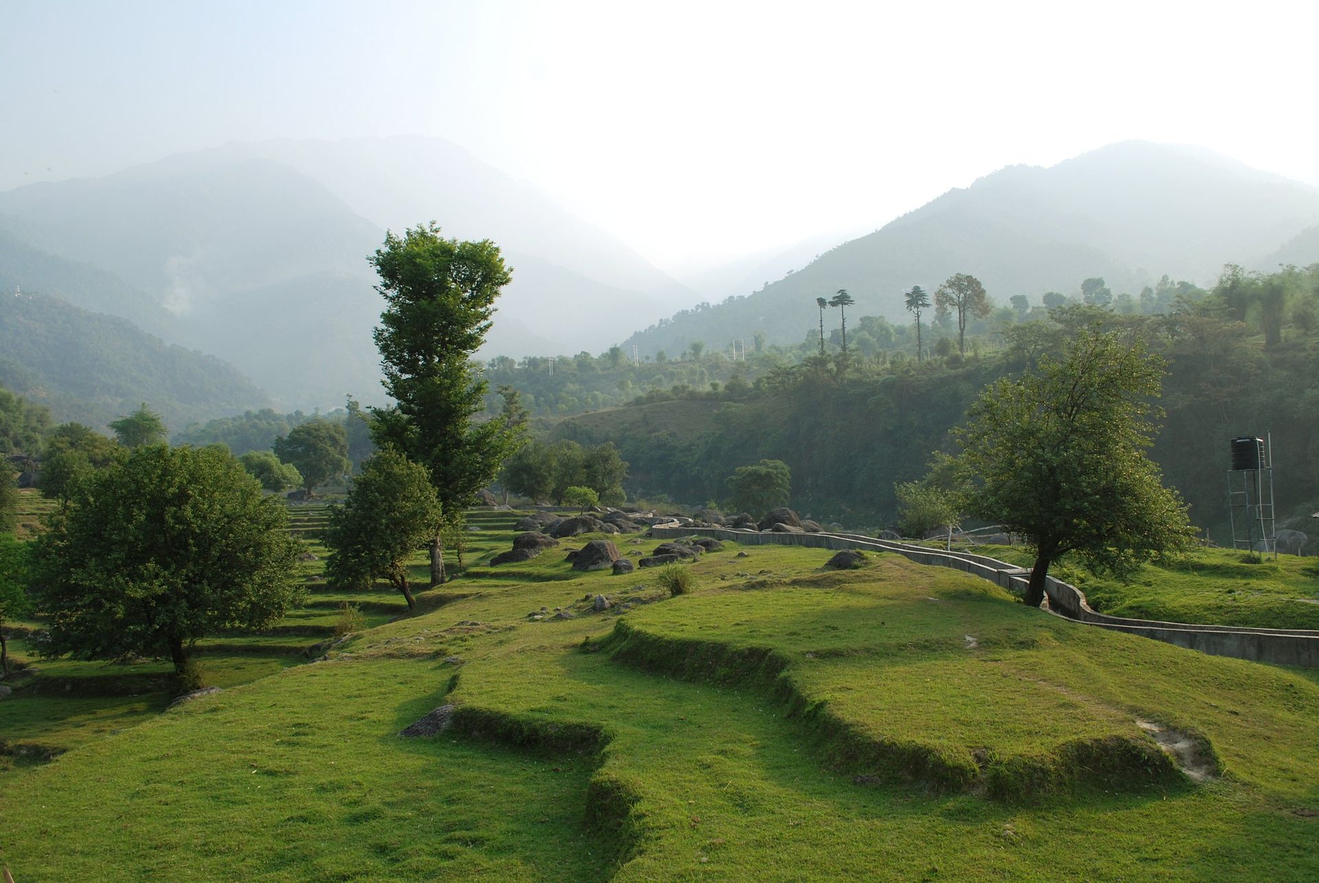Tourist Places In Palampur: Uncover North India’s Charming Tea Capital