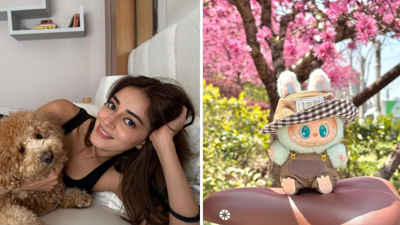 The Labubu Craze: Where To Buy This Whimsical Monster Toy In India