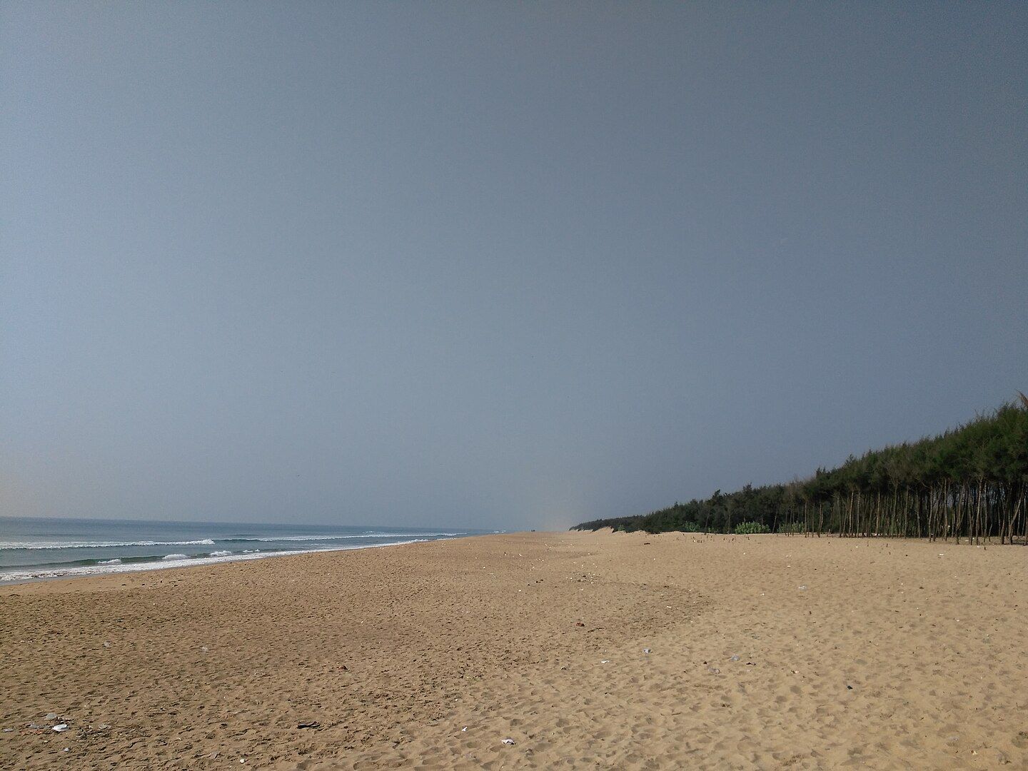 Places To Visit In Puri: Chariots To Crafts And Coastal Wonders