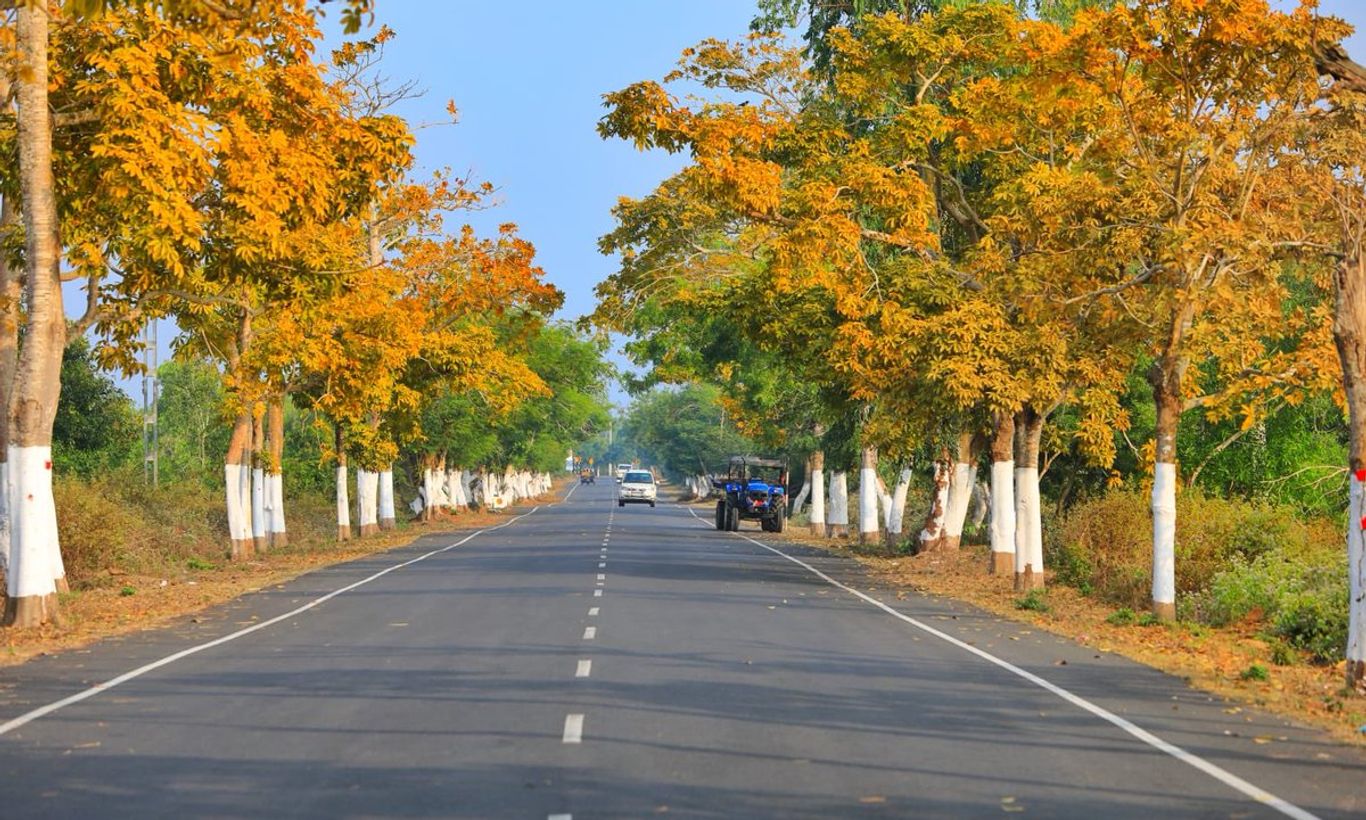 Places To Visit In Puri: Chariots To Crafts And Coastal Wonders