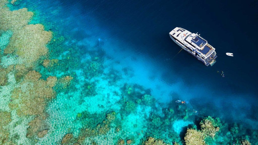 Diving Deep: The Great Barrier Reef Adventures From Cairns