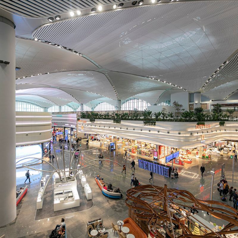 Rajasthan’s Traditional 'Sangri’ Bean Receives The GI Tag Distinction!