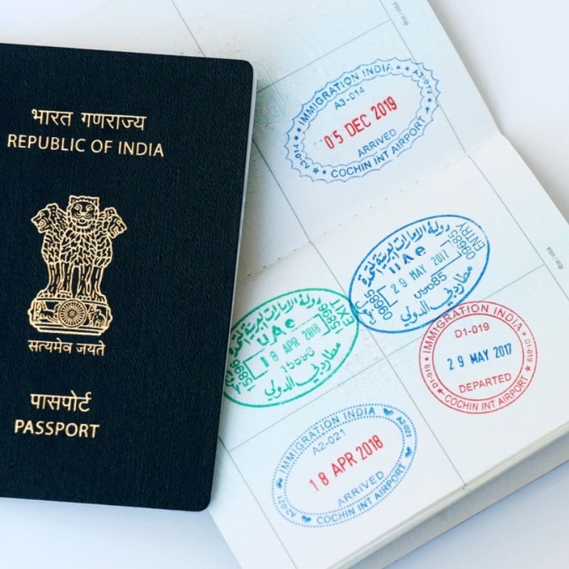 Rajasthan’s Traditional 'Sangri’ Bean Receives The GI Tag Distinction!