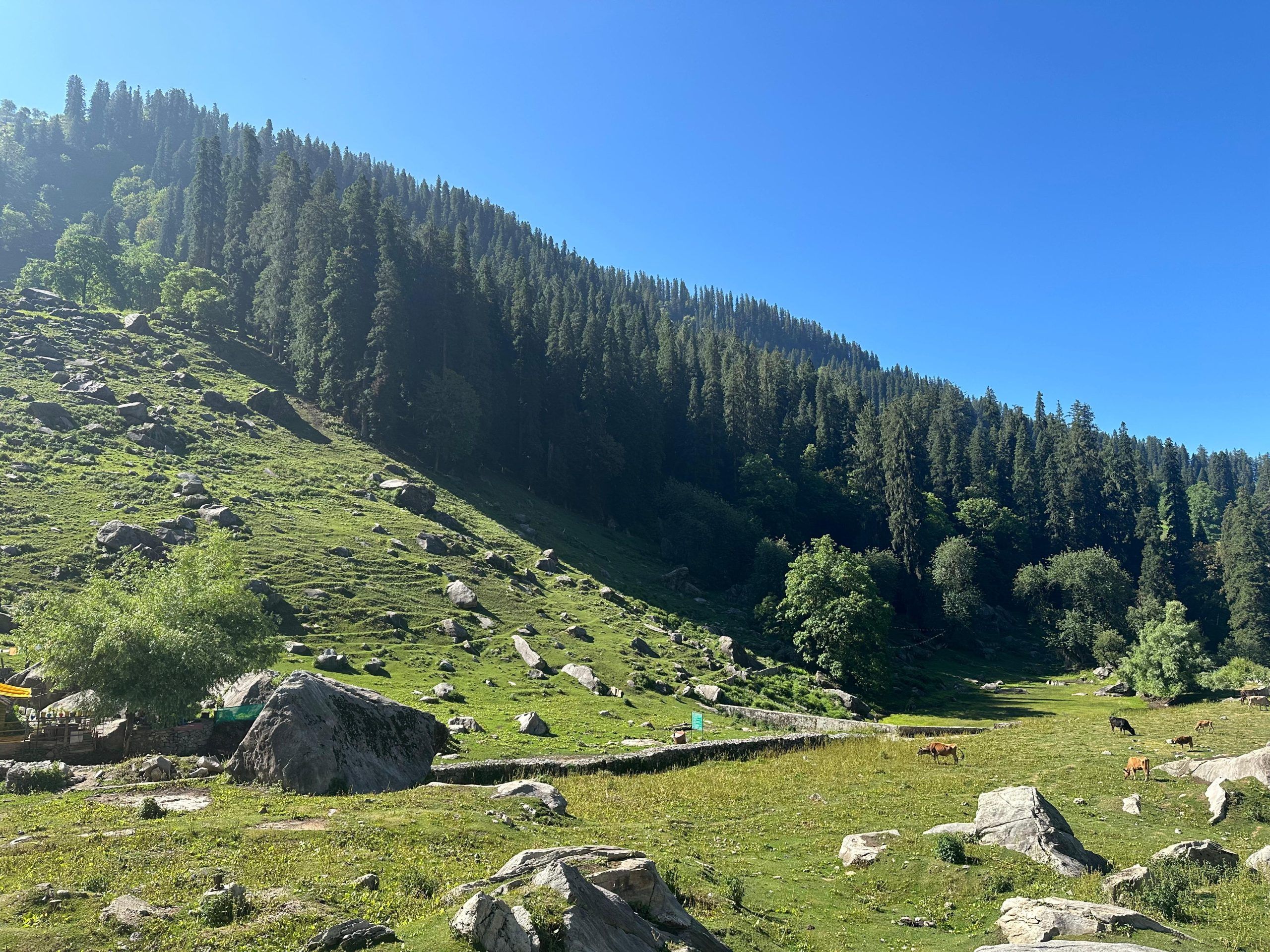 Sethan Valley: Manali's Milder Cousin Holds An Igloo Village