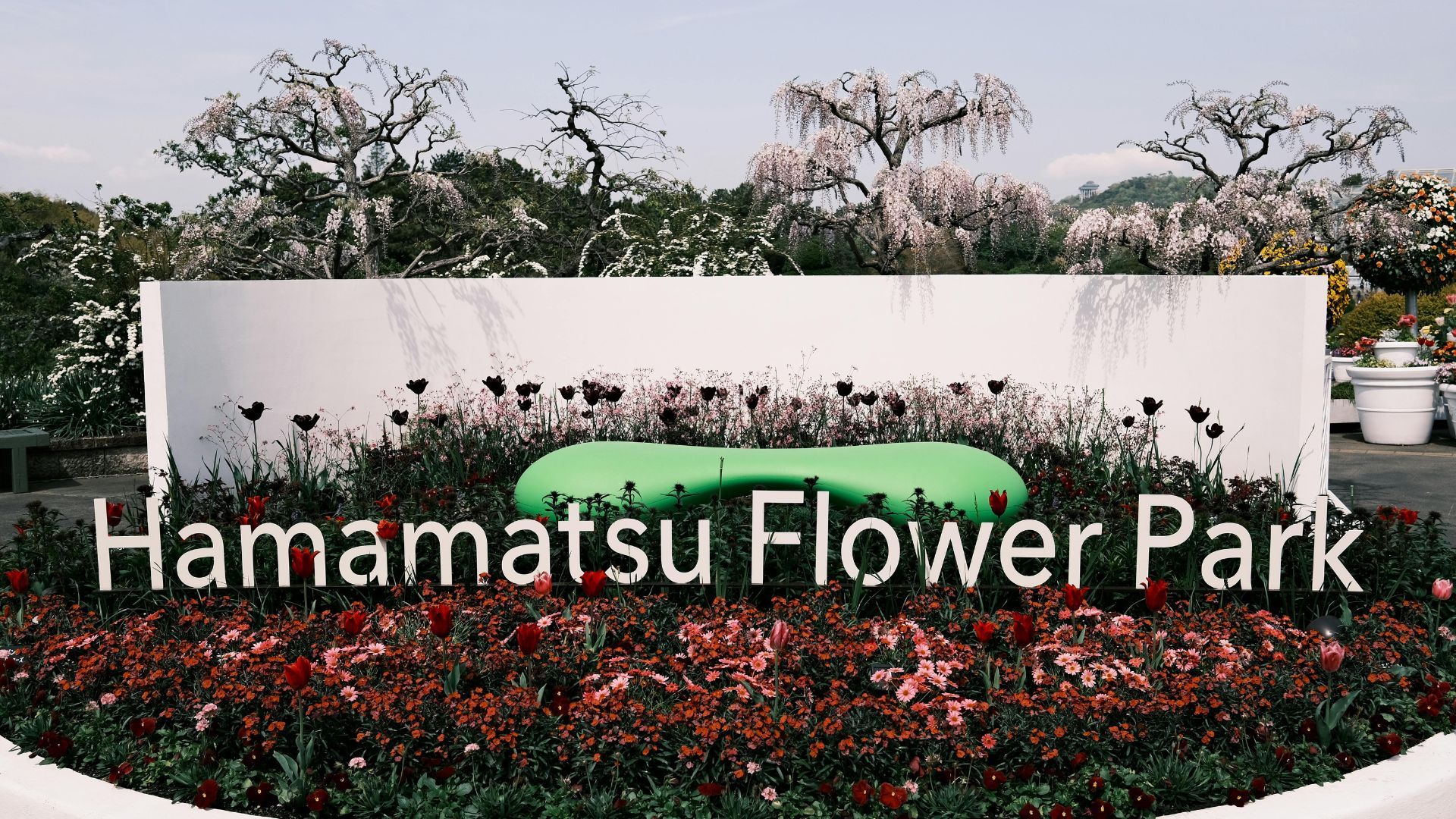 Small Cities In Japan: Offbeat Sites To Explore For Second-Time Visitors