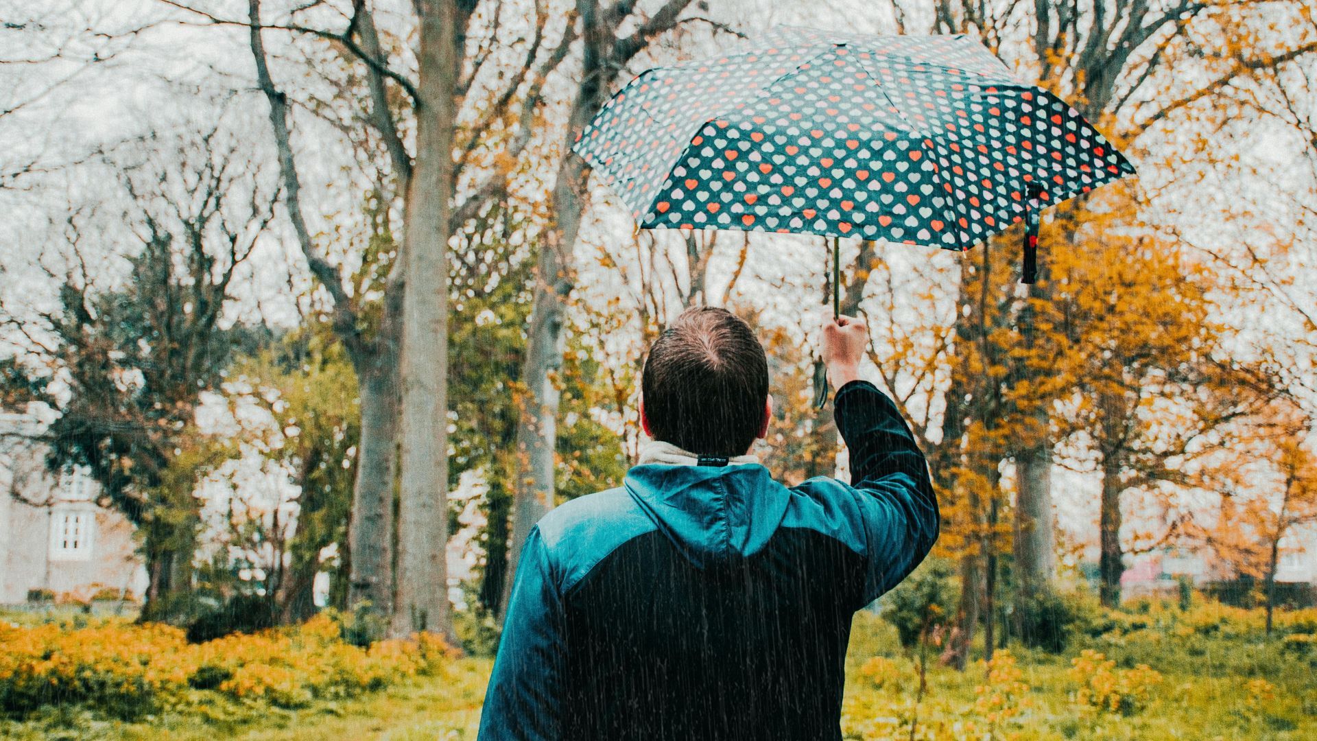 Events In July 2025: India’s Top Festivals, Fairs And Cultural Experiences