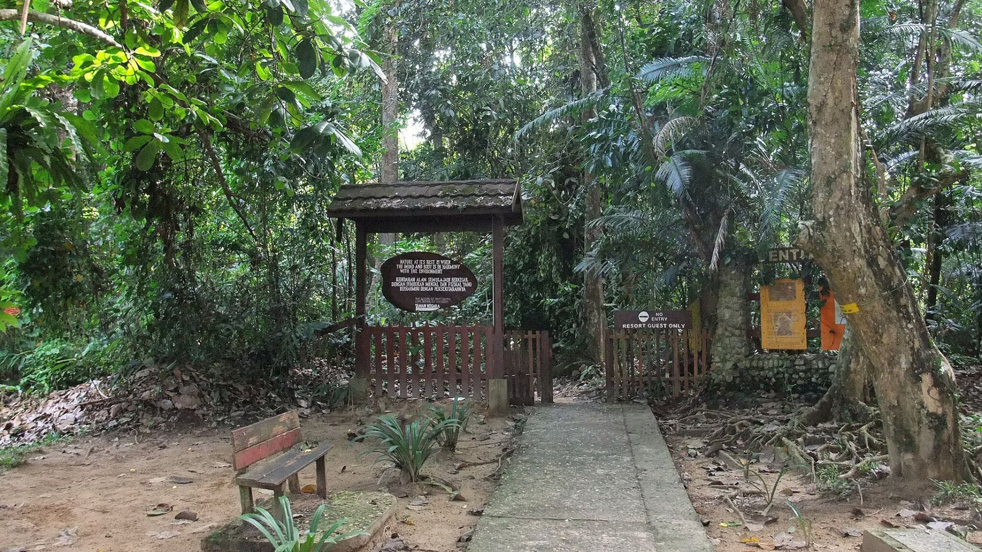 Taman Negara National Park: Explore One Of Earth’s Oldest Rainforests