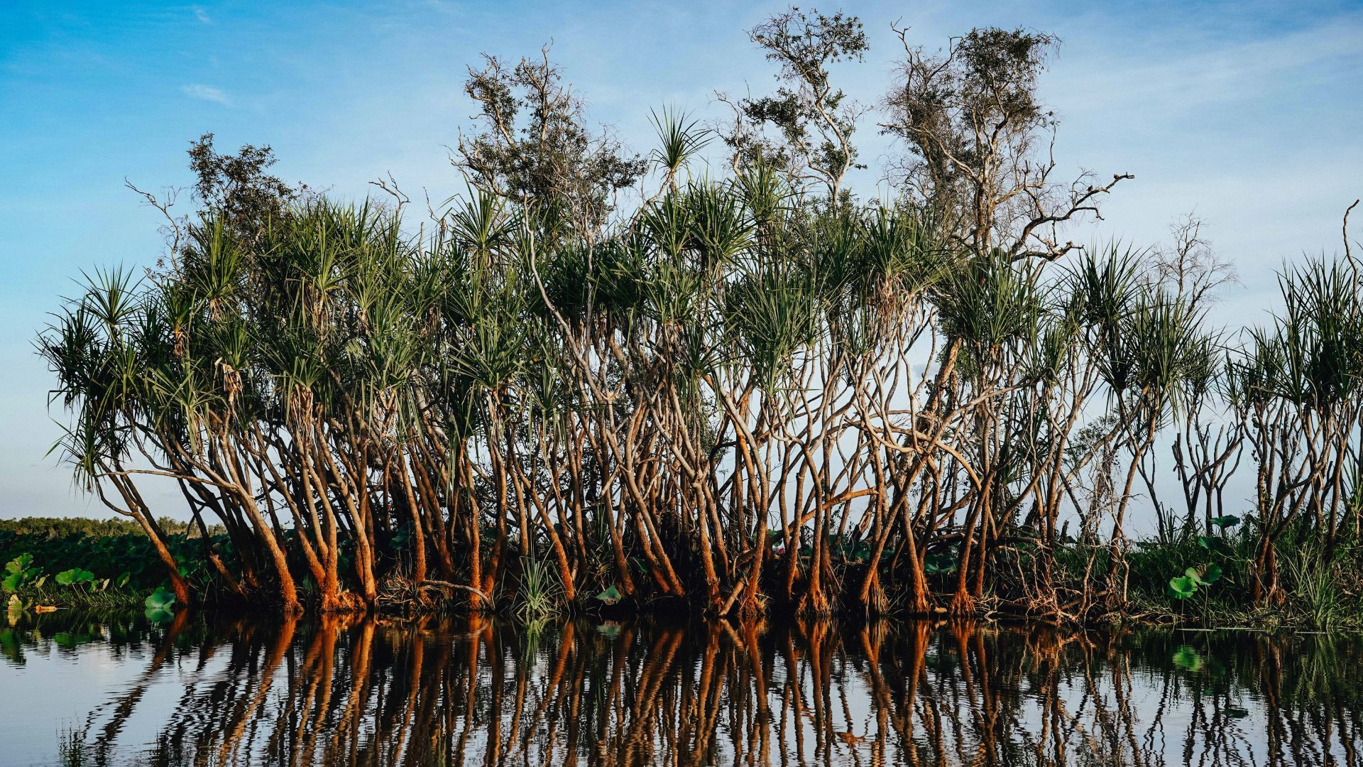 National Parks In Australia: Where Ancient Wonders Meet Wild Beauty