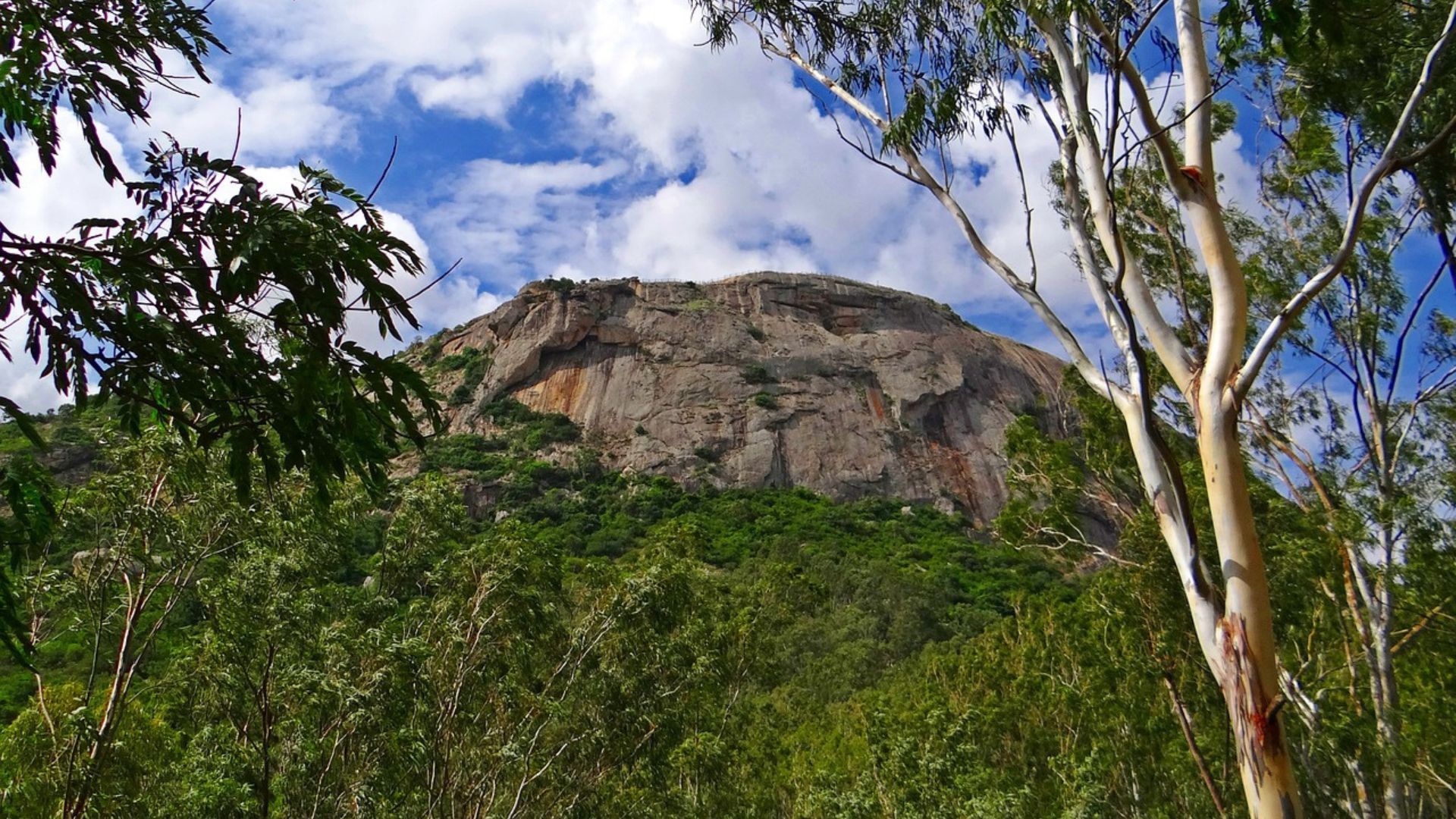 Things To Do In Nandi Hills: Sunrise, Heritage Walks, Wine-Tasting & More