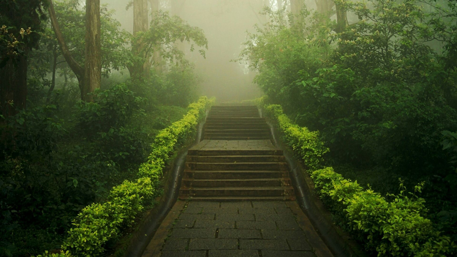 Things To Do In Nandi Hills: Sunrise, Heritage Walks, Wine-Tasting & More