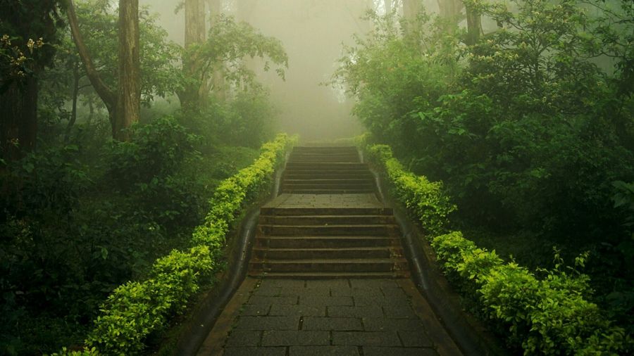 Things To Do In Nandi Hills: Sunrise, Heritage Walks, Wine-Tasting & More