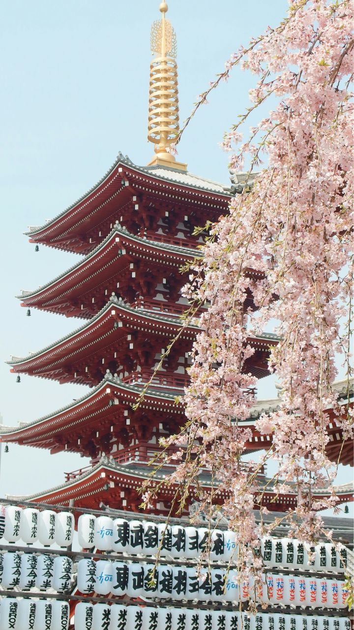 Famous Filming Locations To Visit In Japan