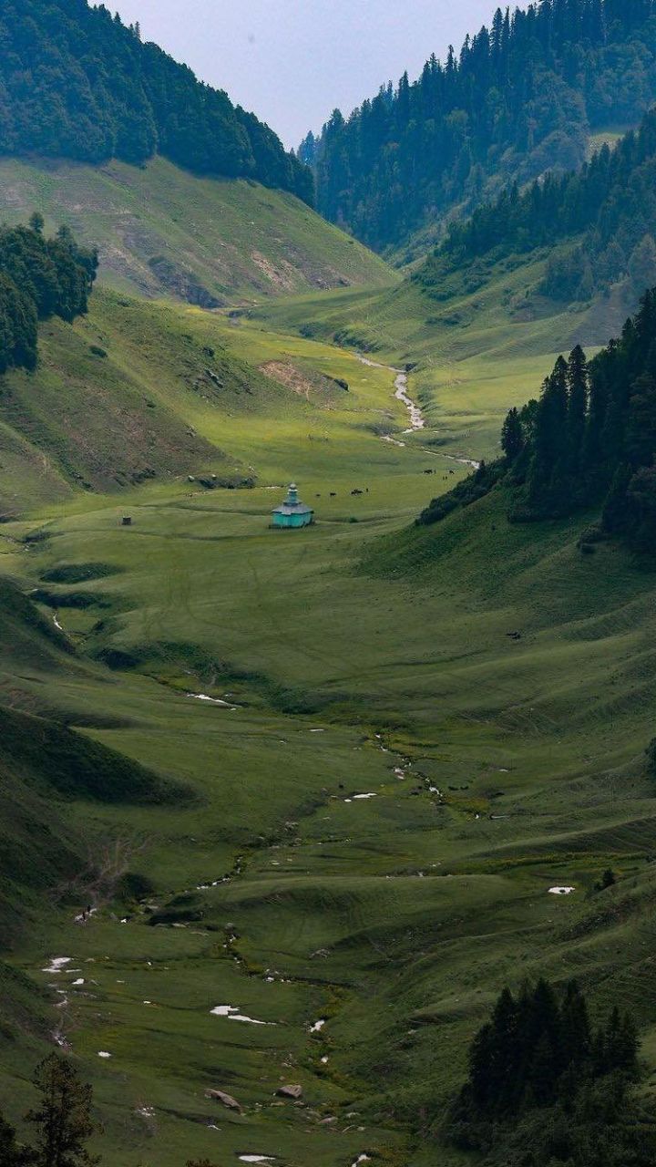 Everything You Need To Know Before Visiting Bhal Padri