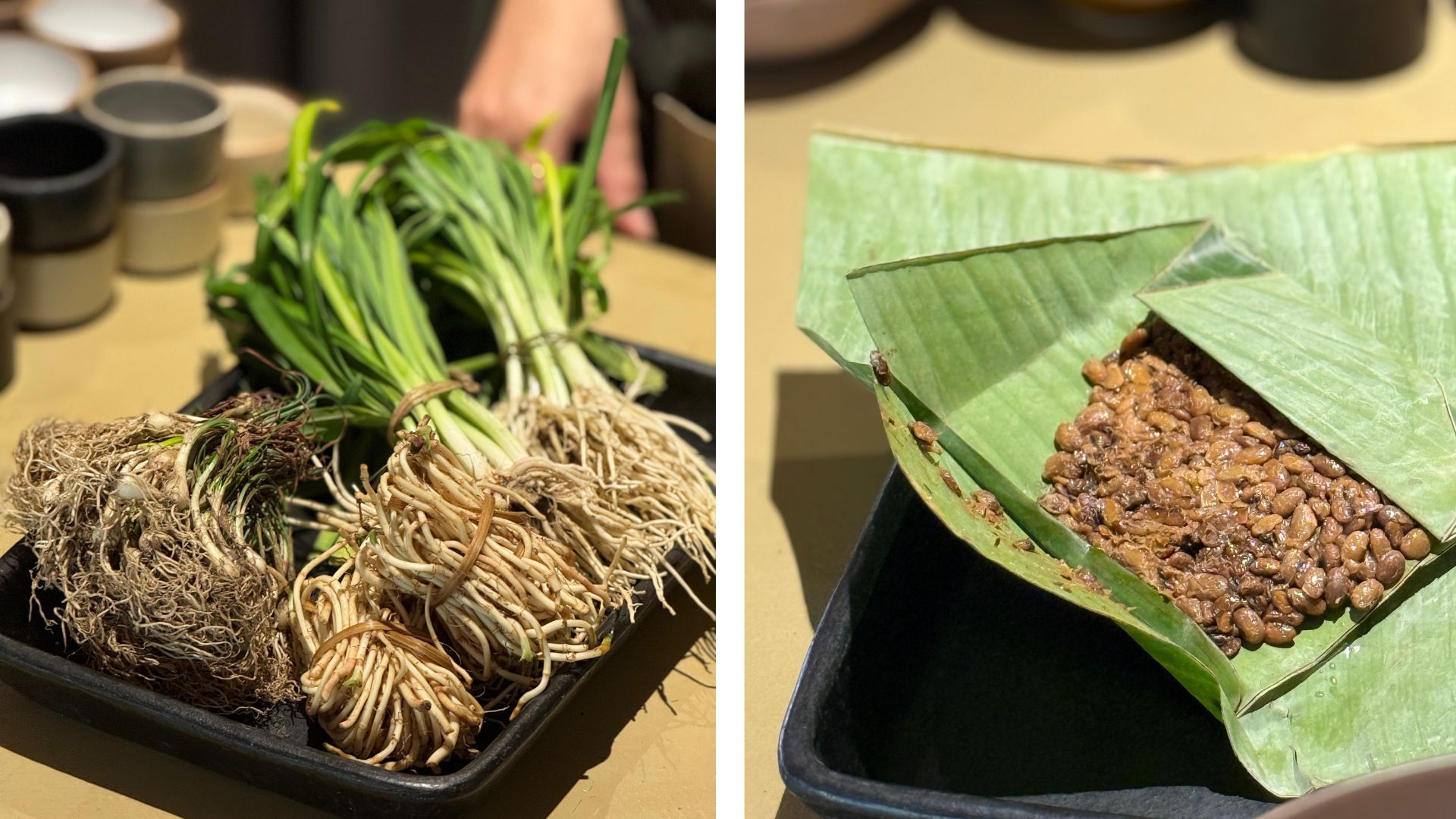 From Forest To Feast: India's Tribal Cuisines Setting Global Trends