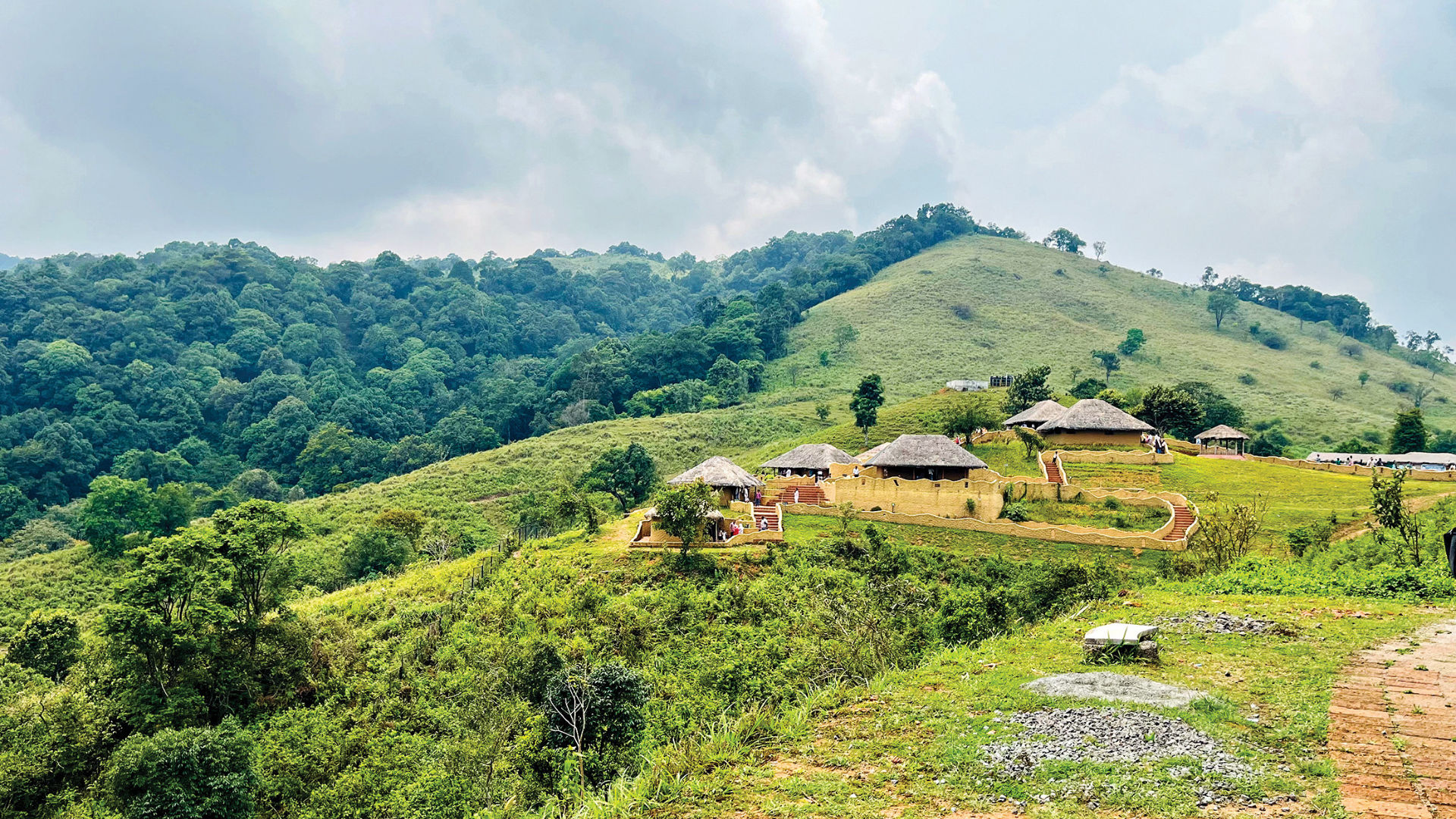 Wayanad: The Land of Spices—And A Surprising Vegan Paradise