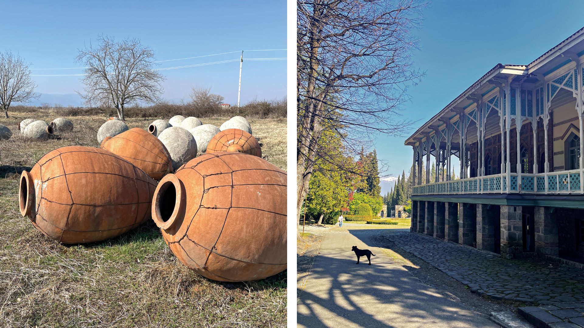 Discover Georgia's Wine Culture Through The Kakheti Vineyards