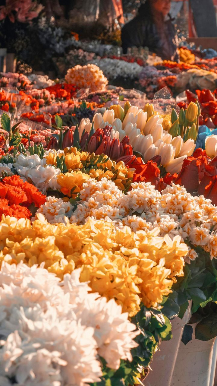 Delhi Flower Market Guide: Most Photogenic Spots To Visit Before Dawn