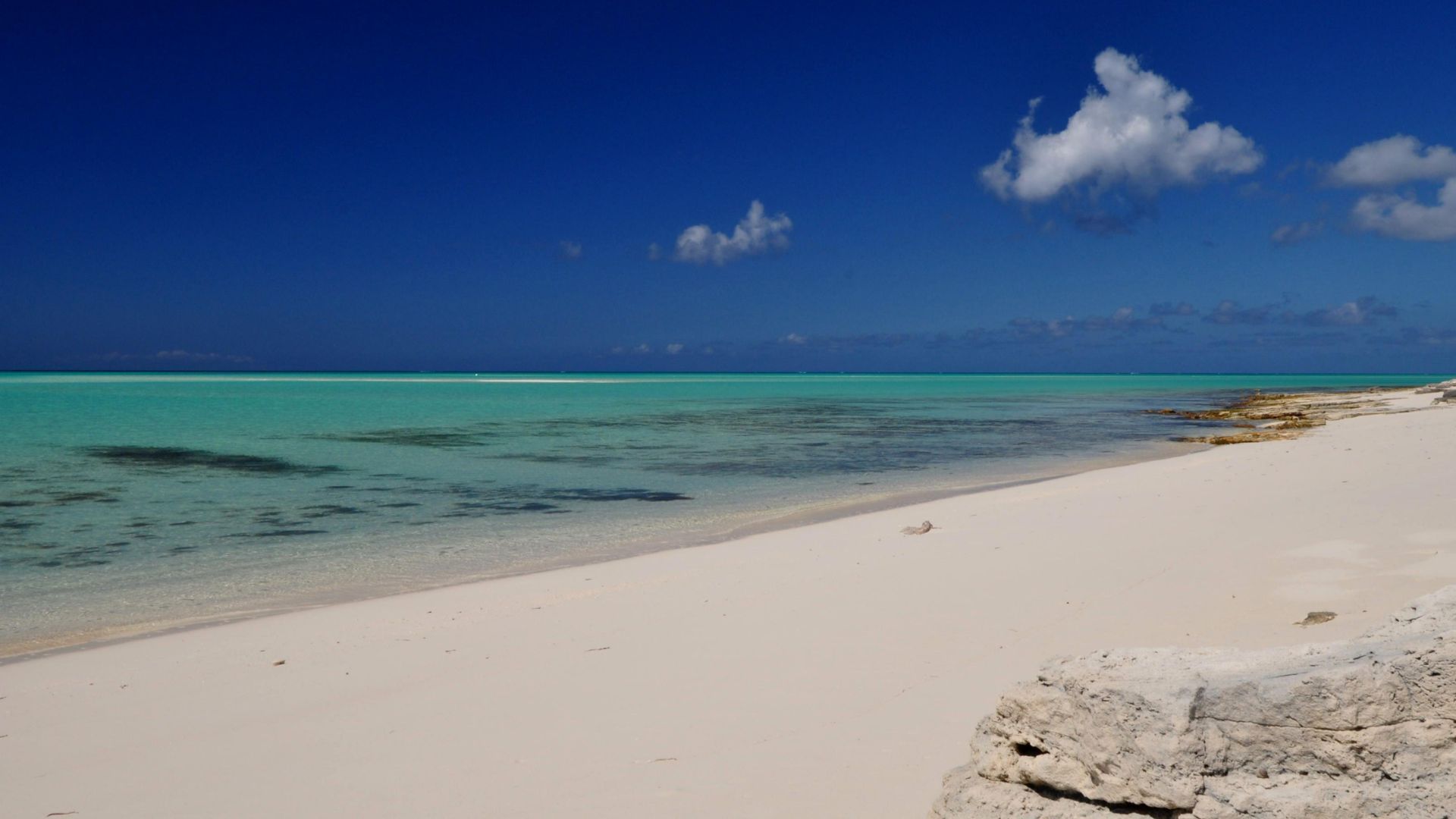 Caribbean Island Pine Cay Has Glow Worms And Turquoise Waters