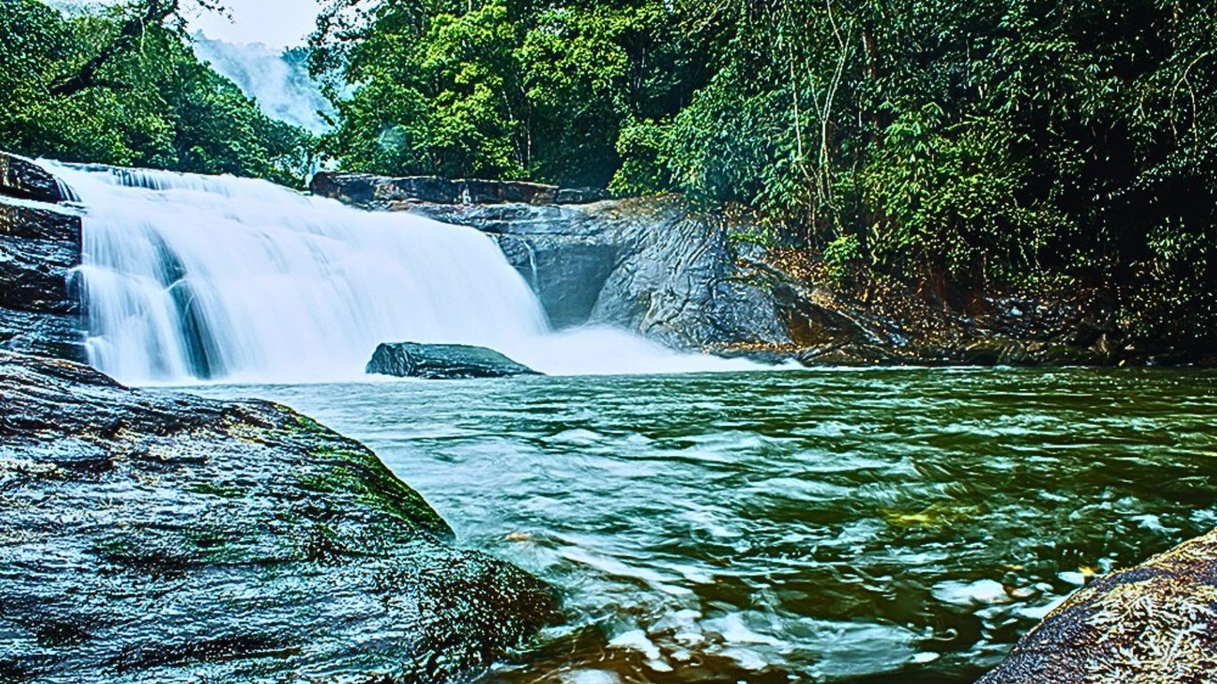 Tourist Places In Idukki: Explore The Breathtaking Spice Garden Of Kerala