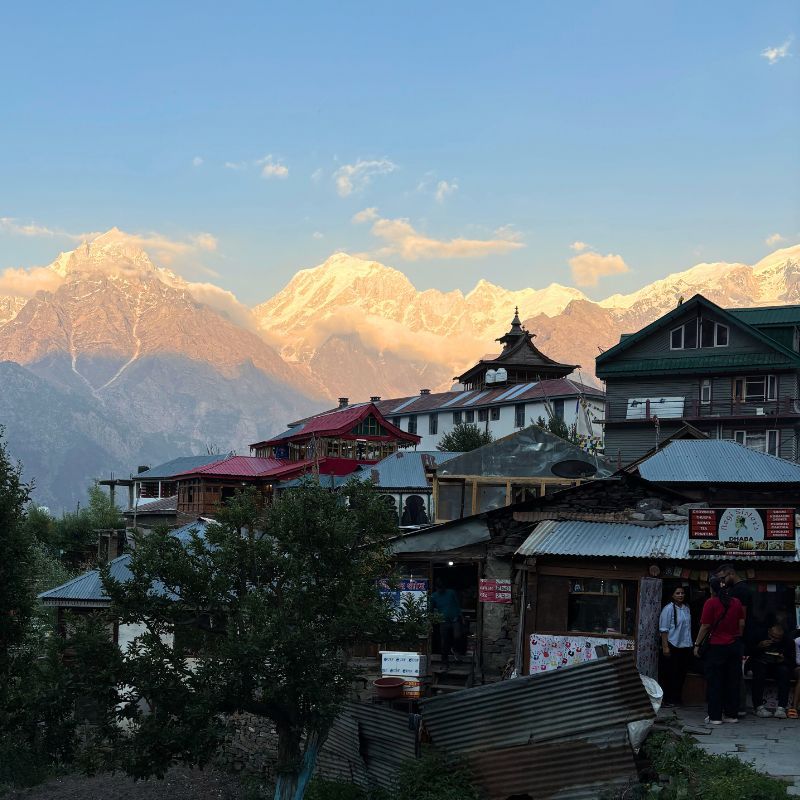 Jawai Bandh Travel Guide: By Air, By Road, By Train