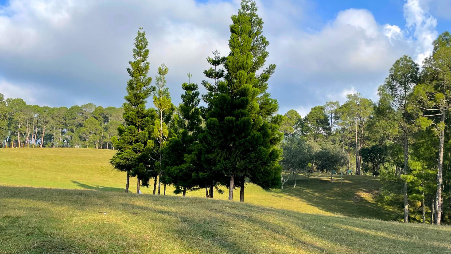 Ranikhet Escapes: Best Things To See, Eat & Do In This Himalayan Gem