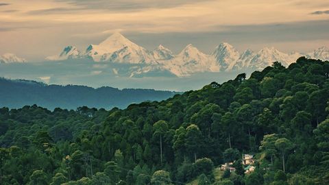 Ranikhet Escapes: Best Things To See, Eat & Do In This Himalayan Gem