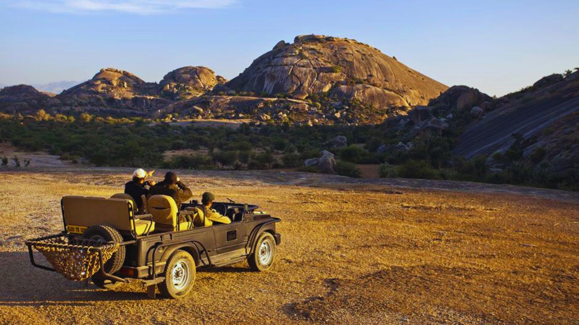 Jawai Leopard Safari: How I Chased The Spotted Sensation