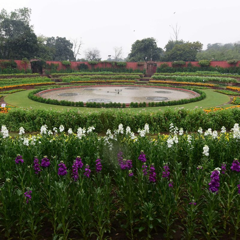 Mumbai To Goa Roro Service: Launch Date, Route & Travel Details