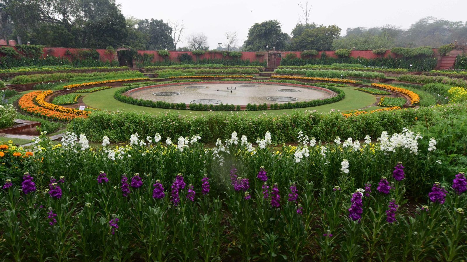 Amrit Udyan Rashtrapati Bhavan Displays Summer Blooms: Details Inside