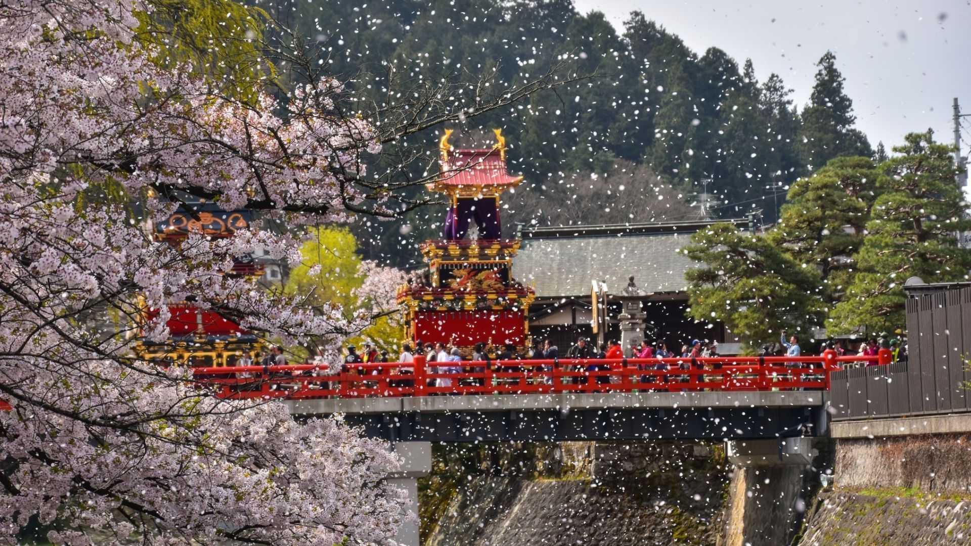 Traditional Japanese Festivals Worth Planning Your Trip Around