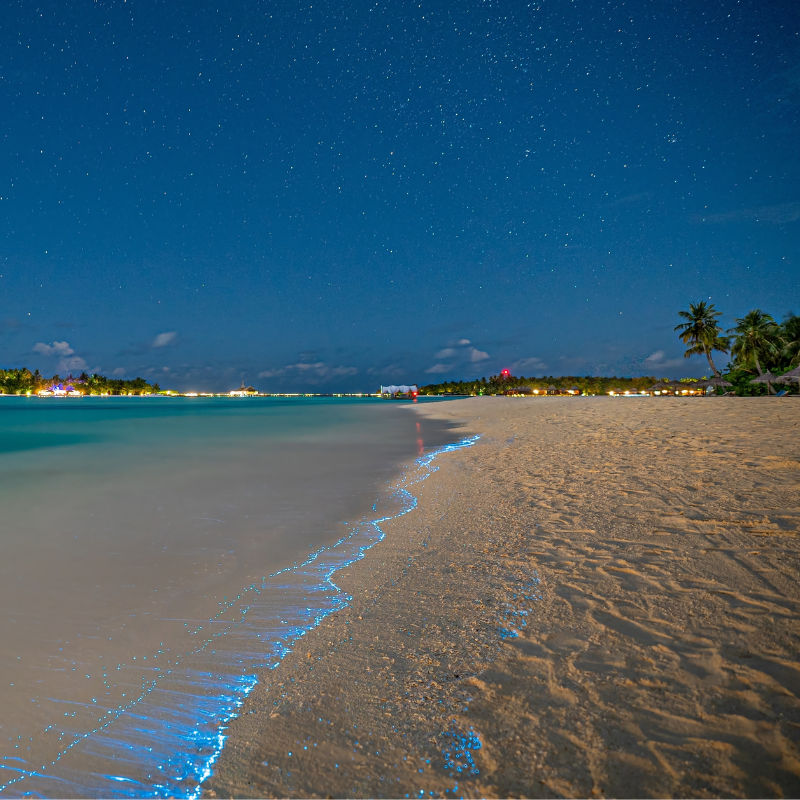 Real-Life Locations That Inspired The Worlds Of Several Animated Movies