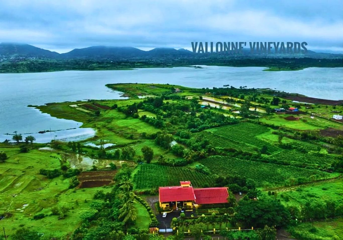 A Wine Lover's Guide To Nashik, 'India's Napa Valley'